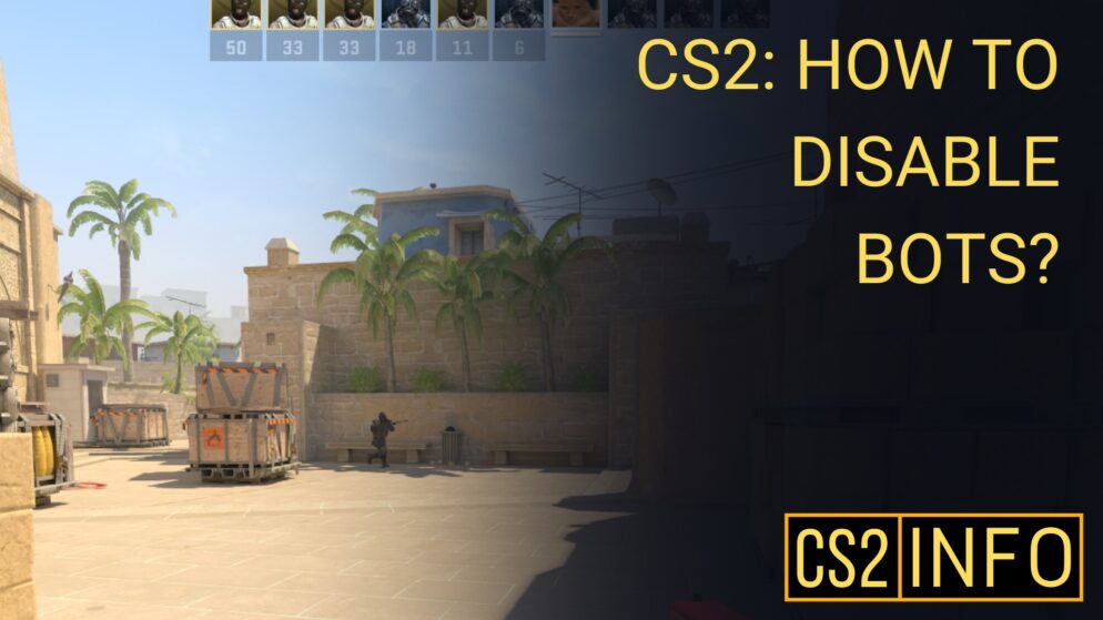 CS2: How to Disable Bots? – cs2info