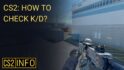 How to Check Your KD in CS2? – cs2info