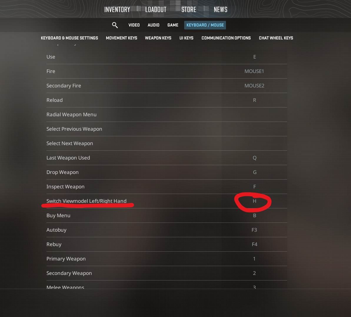 How to Switch to Left Hand in CS2? – cs2info